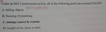 Solved Under an HO-2 ﻿homeowners policy, all of the | Chegg.com