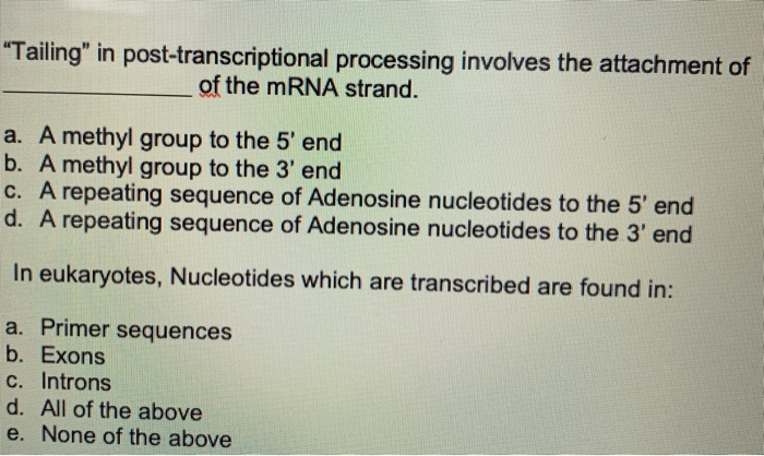 Solved “Tailing" in post-transcriptional processing involves | Chegg.com
