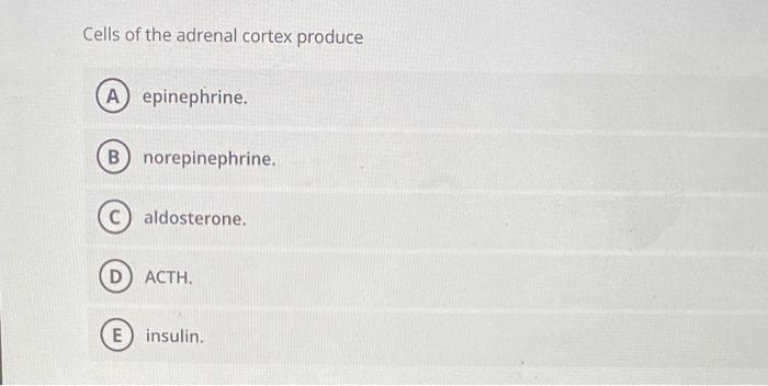 Solved Cells of the adrenal cortex produce epinephrine. | Chegg.com