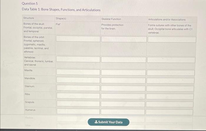 Solved Question 5 Data Table 1: Bone Shapes, Functions, and | Chegg.com