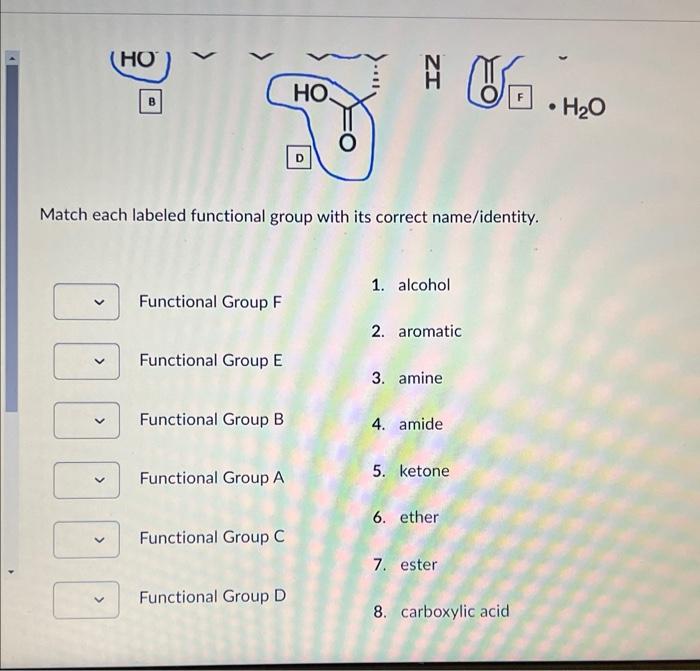 Solved A H3CO (НО B C НО. D IZ ZI E COCH 3 11.H2O F H₂O | Chegg.com