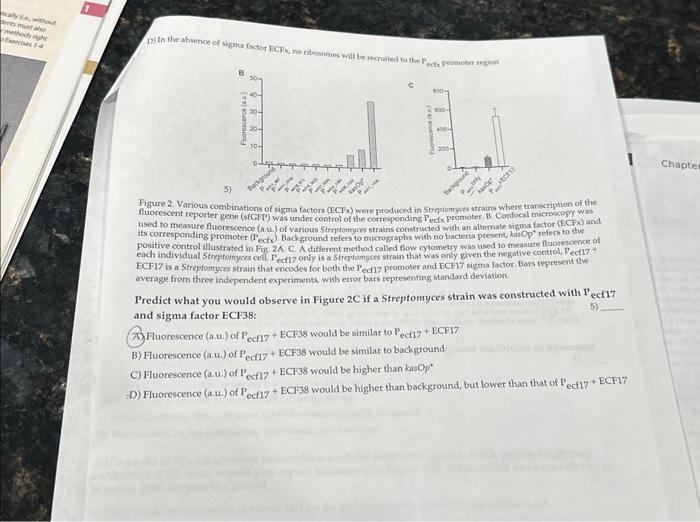 Solved Figure 2 Various combinations of sigma factors (ECF) | Chegg.com