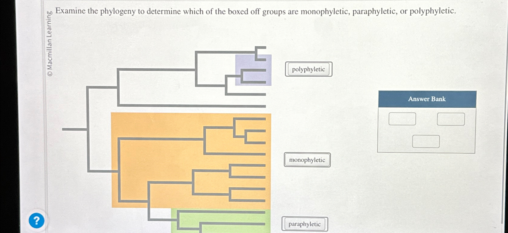 Solved ?6∞ ﻿Examine the phylogeny to determine which of the | Chegg.com