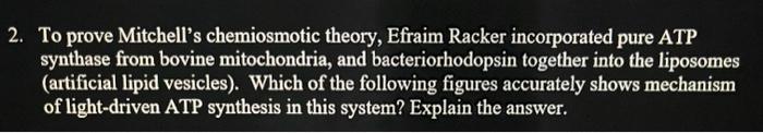Solved 2. To prove Mitchell's chemiosmotic theory, Efraim | Chegg.com