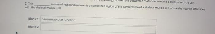 Solved dce between a motor neuron and a skeletal muscle cell | Chegg.com