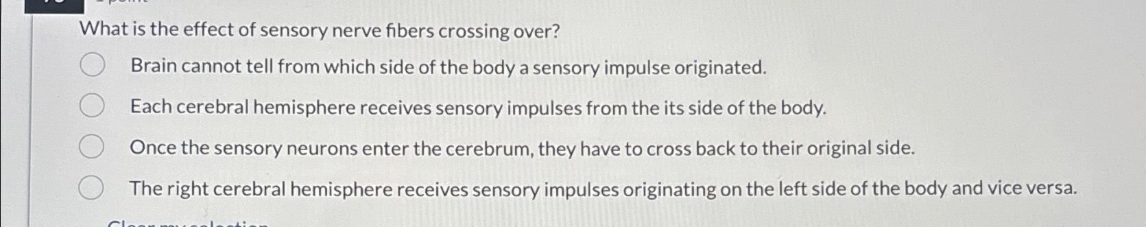 Solved What is the effect of sensory nerve fibers crossing | Chegg.com