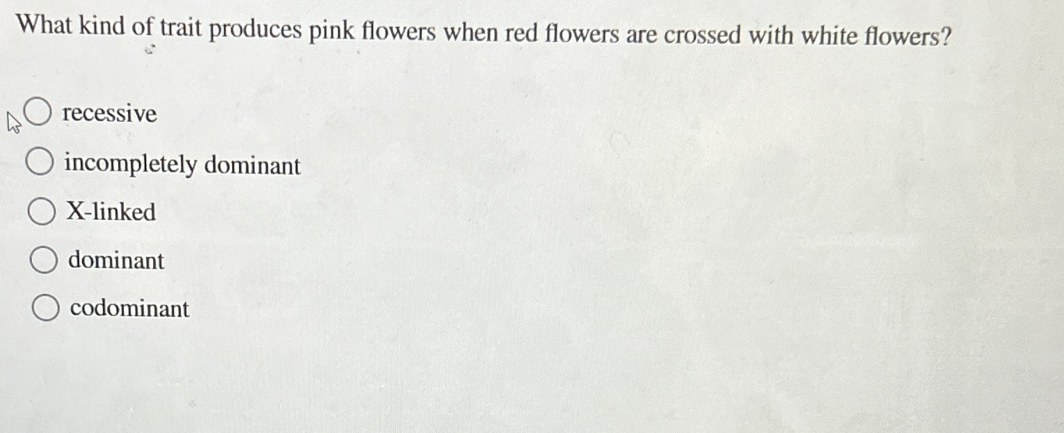 Solved What kind of trait produces pink flowers when red | Chegg.com