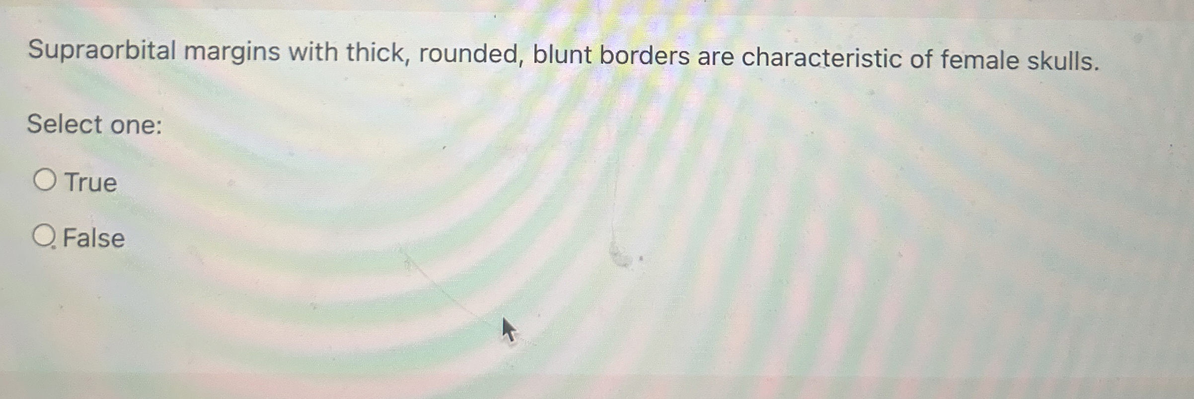 Solved Supraorbital margins with thick, rounded, blunt | Chegg.com