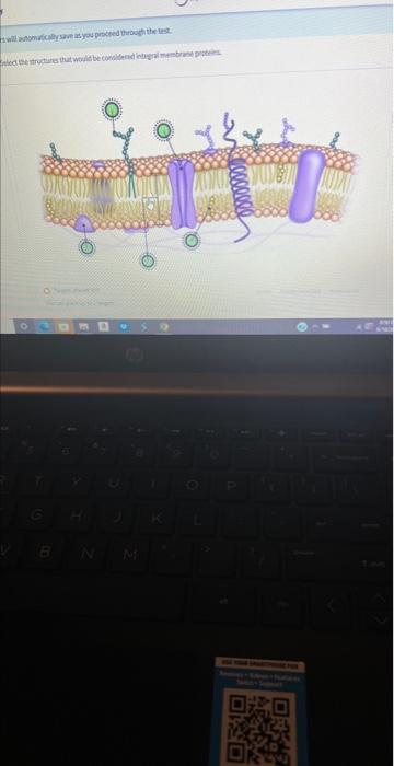 Solved select the structures that would be considered | Chegg.com