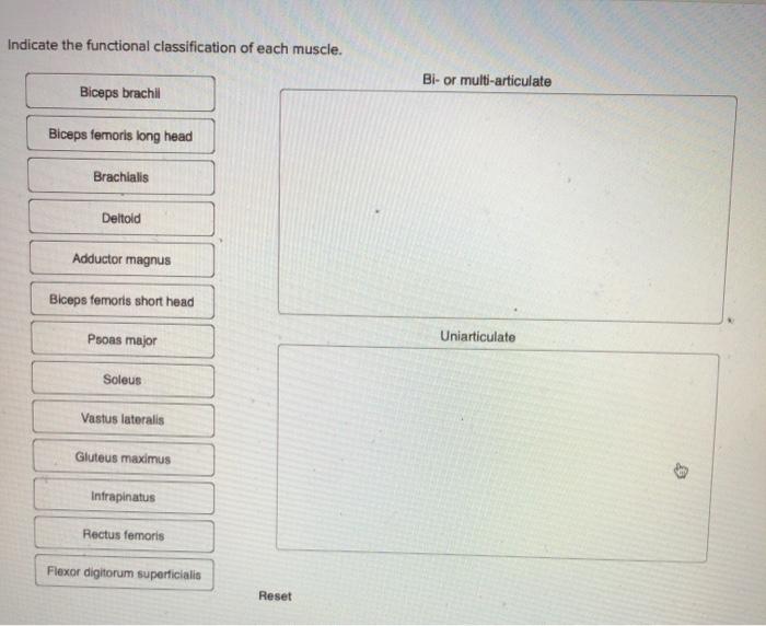 Solved Indicate the functional classification of each | Chegg.com