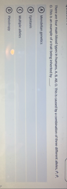Solved There are four main blood types in humans, A B, ﻿AB, | Chegg.com