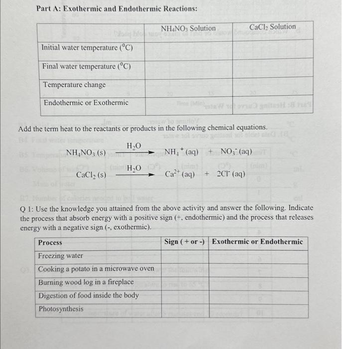 Solved Part A: Exothermic and Endothermic Reactions: Add the | Chegg.com