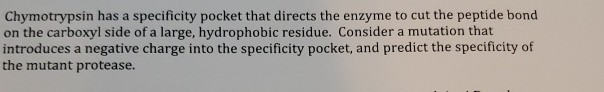 Solved Chymotrypsin has a specificity pocket that directs | Chegg.com