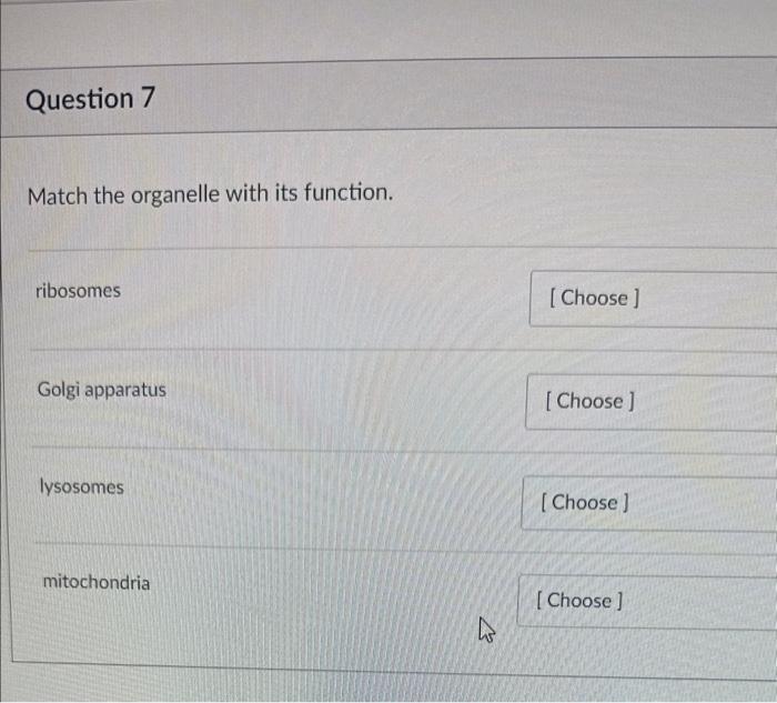 Solved Match the organelle with its function. ribosomes | Chegg.com