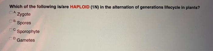 Solved Which of the following is/are HAPLOID (1N) in the | Chegg.com