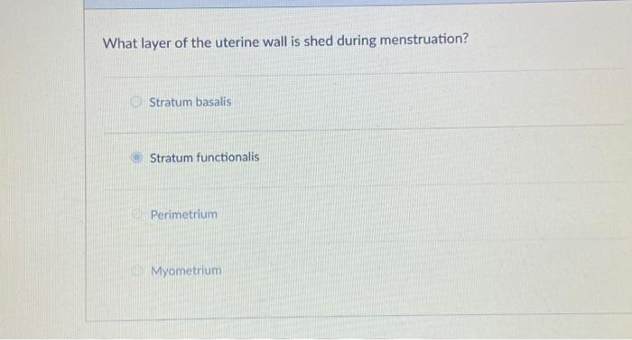 Solved What layer of the uterine wall is shed during | Chegg.com