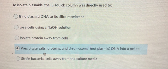 Solved To isolate plasmids, the Qiaquick column was directly | Chegg.com