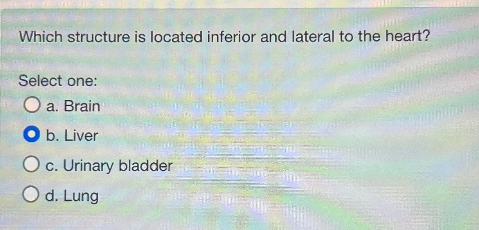 Solved Which structure is located inferior and lateral to | Chegg.com