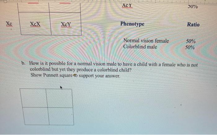Solved female XX. The genotype for a female who is a carrier | Chegg.com