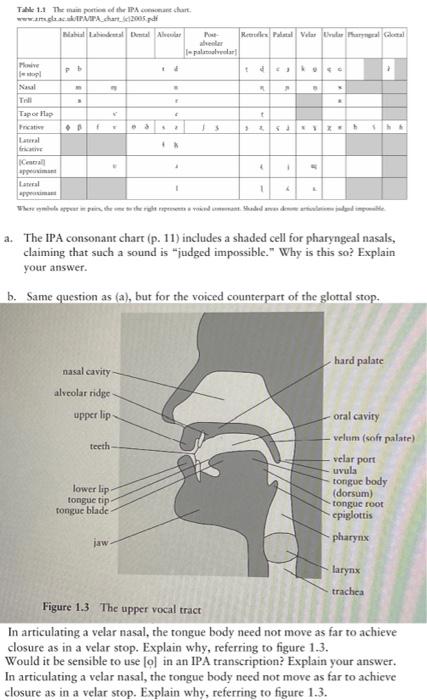 Solved Table 1.1 The map of the IPA chart www.ama PMA | Chegg.com