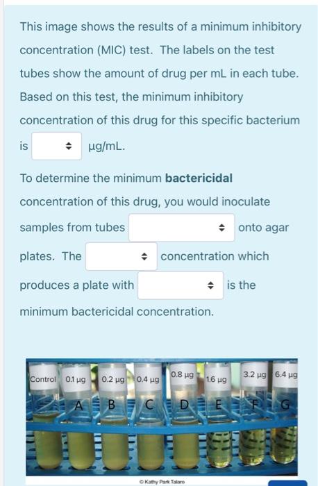 Solved This image shows the results of a minimum inhibitory | Chegg.com