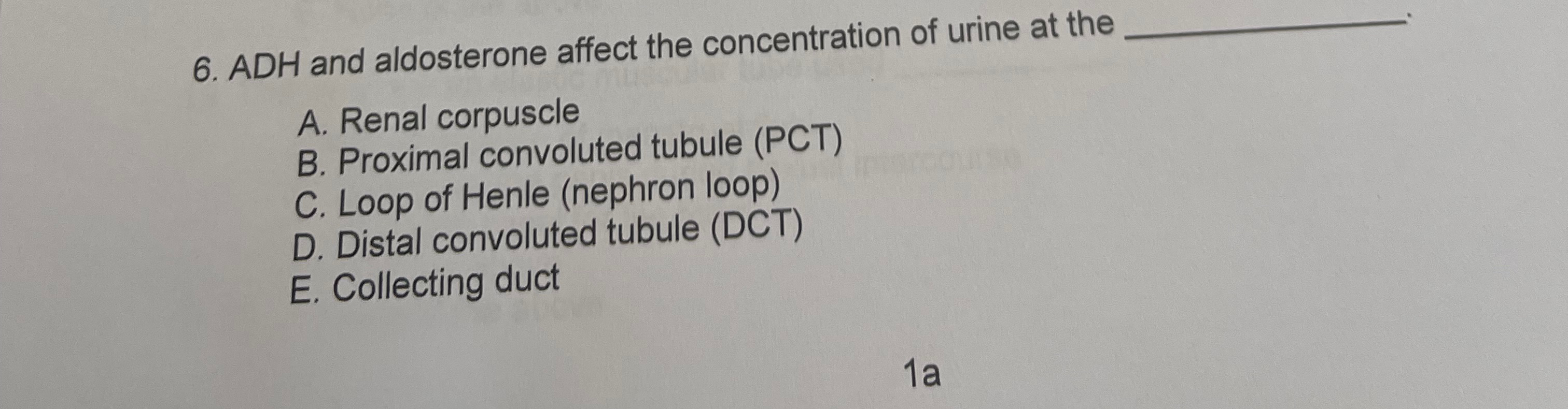 Solved ADH and aldosterone affect the concentration of urine | Chegg.com