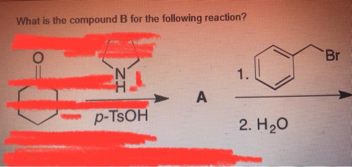 Solved What is the compound B for the following reaction? 1. | Chegg.com