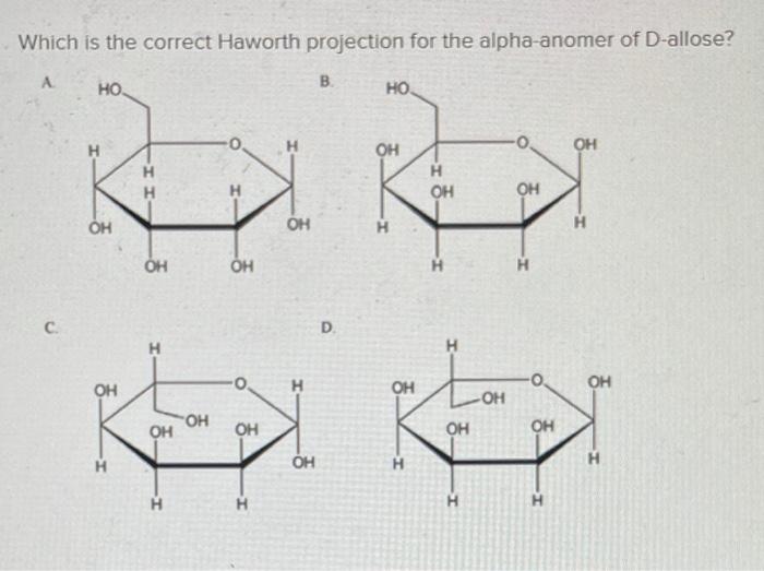 Solved Which is the correct Haworth projection for the | Chegg.com