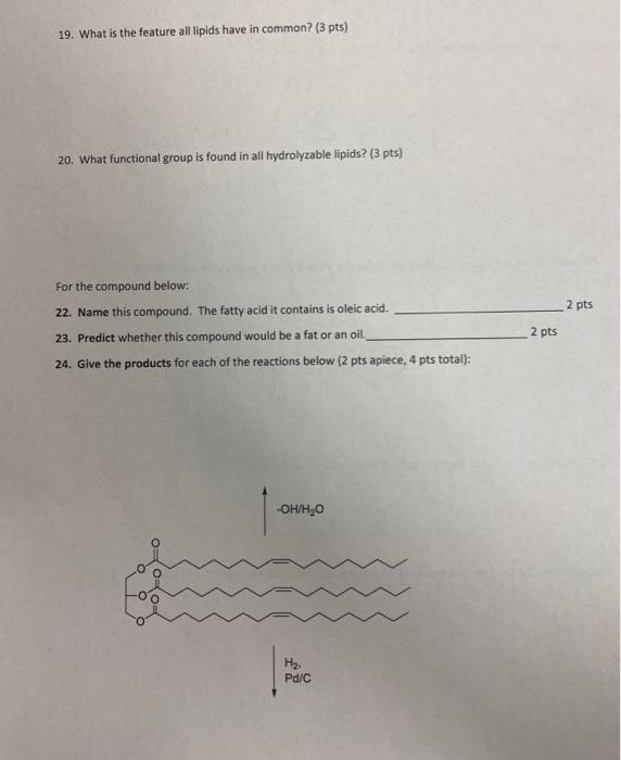 Solved 19. What is the feature all lipids have in common? (3 | Chegg.com