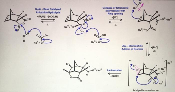 Solved illustrated below is the mechanism of (A) | Chegg.com