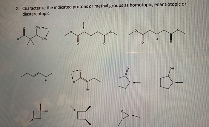 Solved 2. Characterize the indicated protons or methyl | Chegg.com