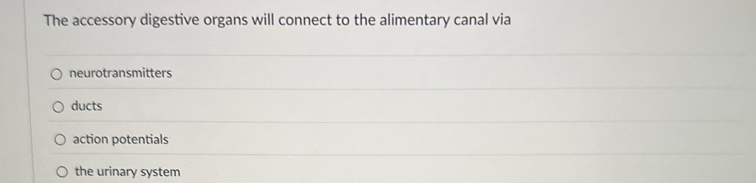 Solved The accessory digestive organs will connect to the | Chegg.com