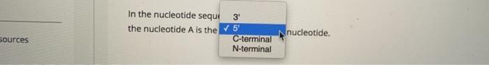 Solved in the nucleotide sequence ATCG, the nucleotide A is | Chegg.com