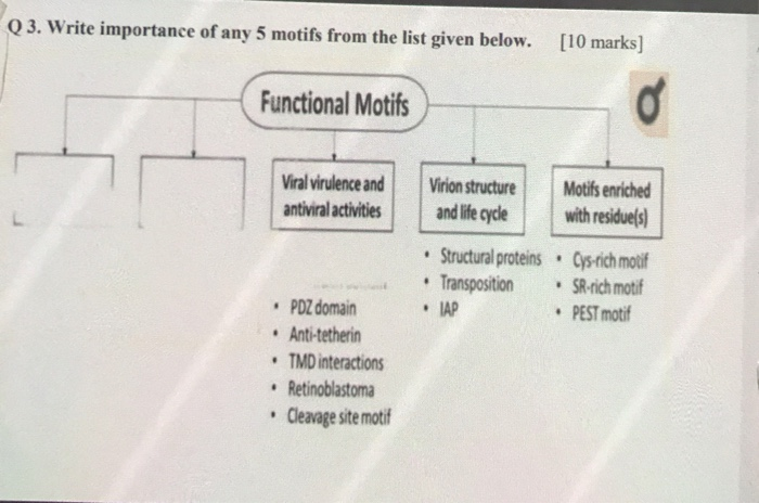 Solved Q3. Write importance of any 5 motifs from the list | Chegg.com