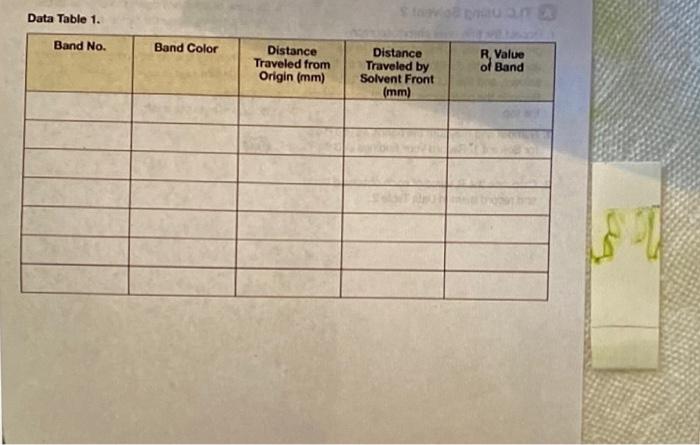Data Table 1. Band No. Band Color Distance Traveled | Chegg.com