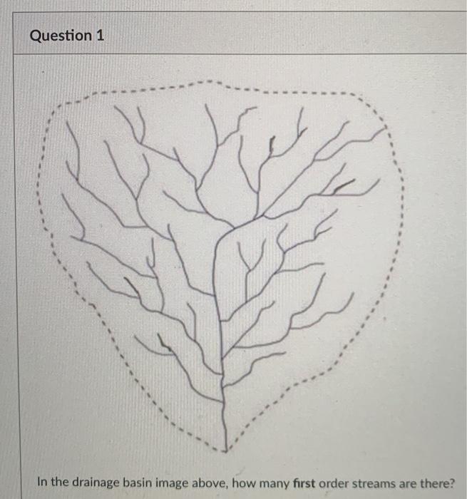 Solved What is the hughest stream order shown in the image | Chegg.com