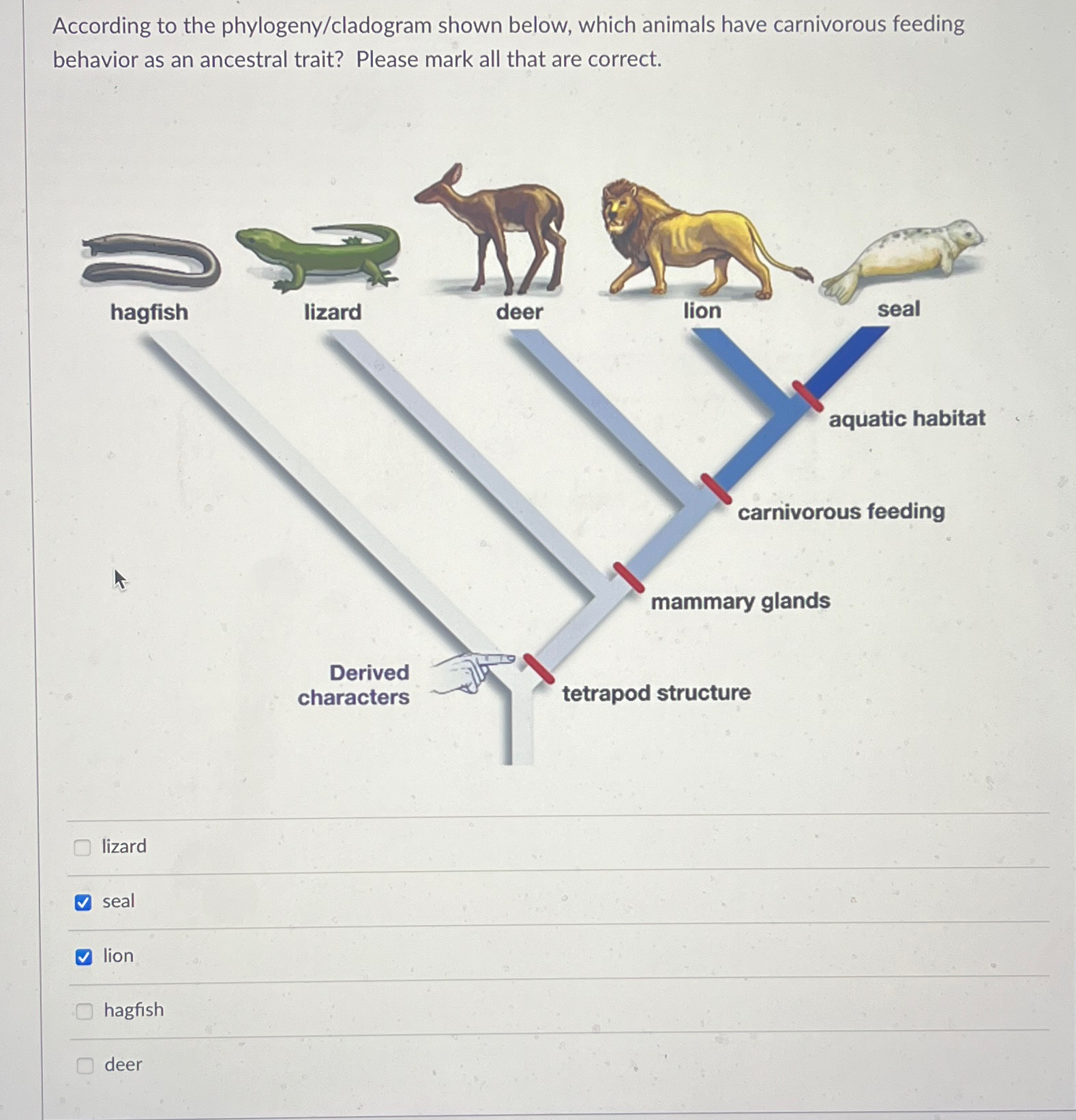 Solved According to the phylogeny/cladogram shown below, | Chegg.com