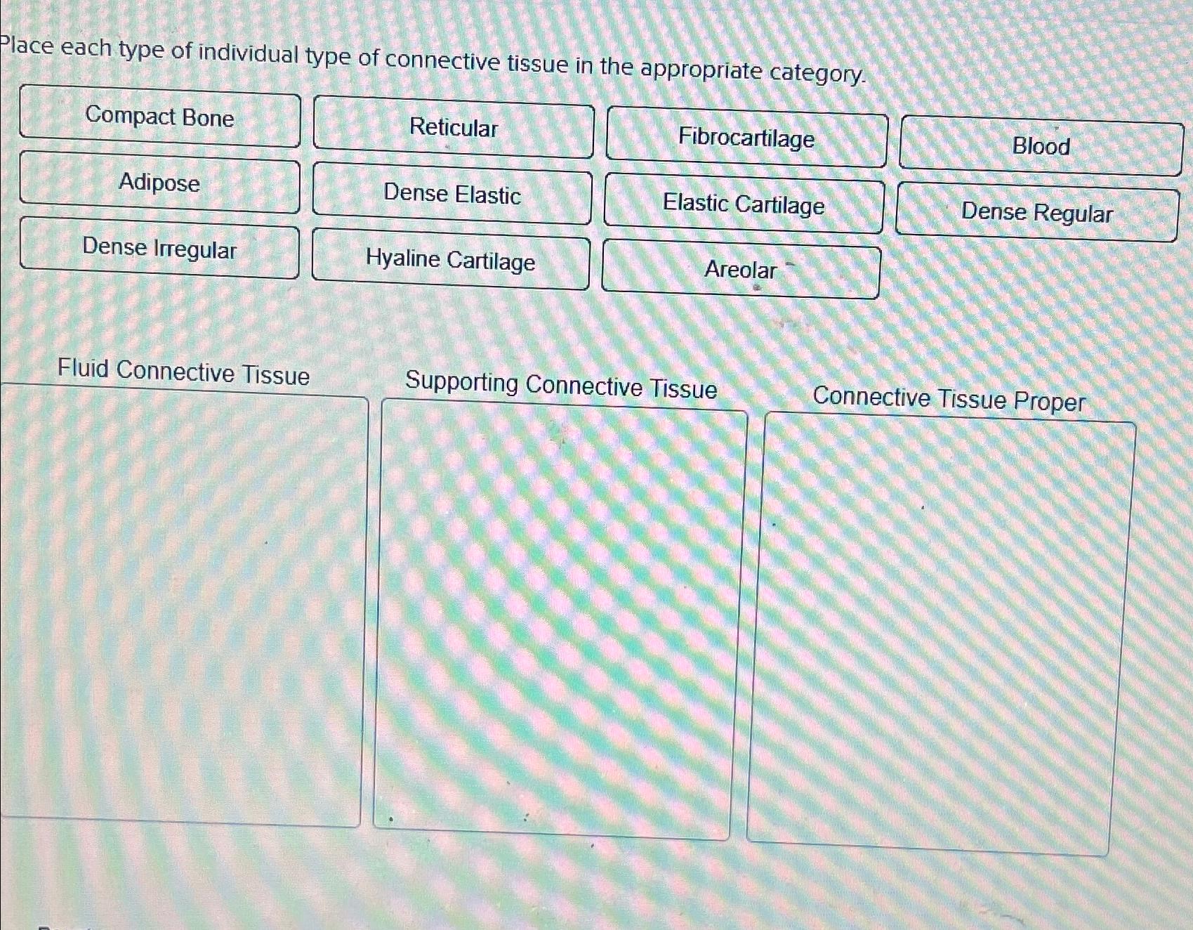 Solved Place each type of individual type of connective | Chegg.com