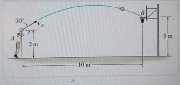 Solved Đ estimating the size of the basketball, determine | Chegg.com