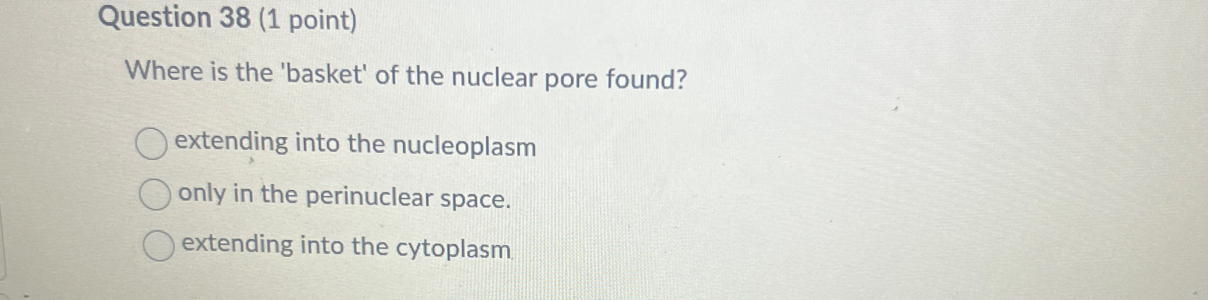 Solved Question 38 (1 ﻿point) ﻿Where is the 'basket' of the | Chegg.com