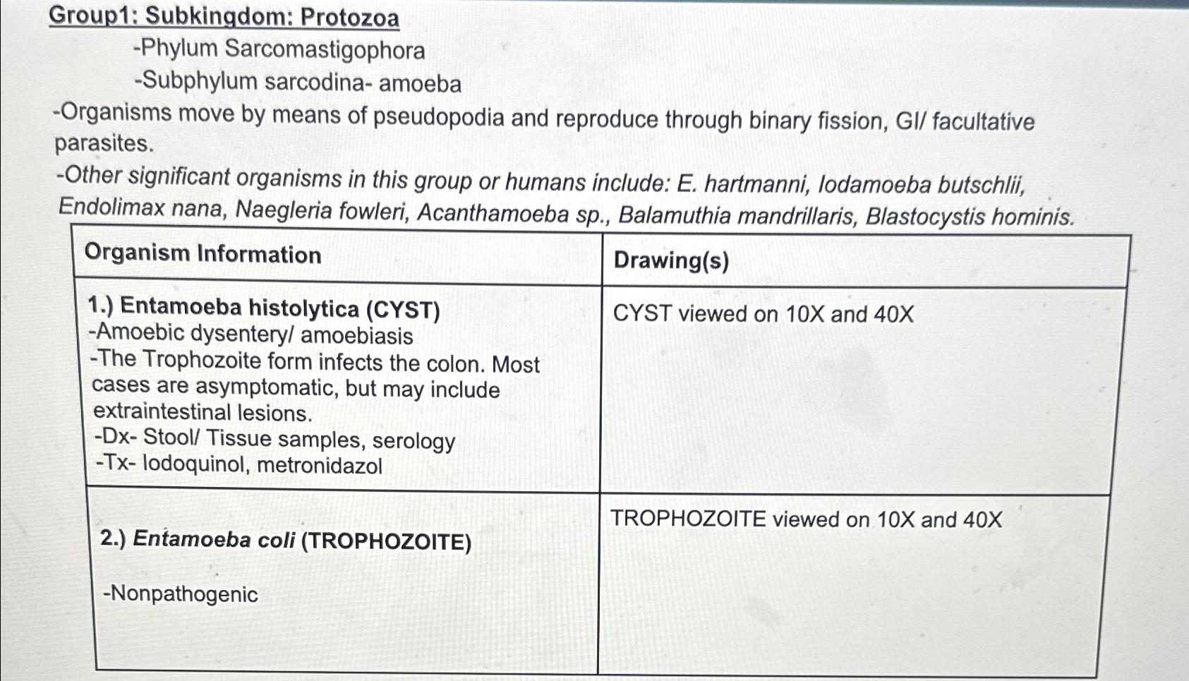 Solved Group1: Subkingdom: Protozoa-Phylum | Chegg.com