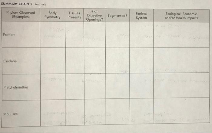 Solved SUMMARY CHART 2. Animals Phylum Observed (Examples) | Chegg.com