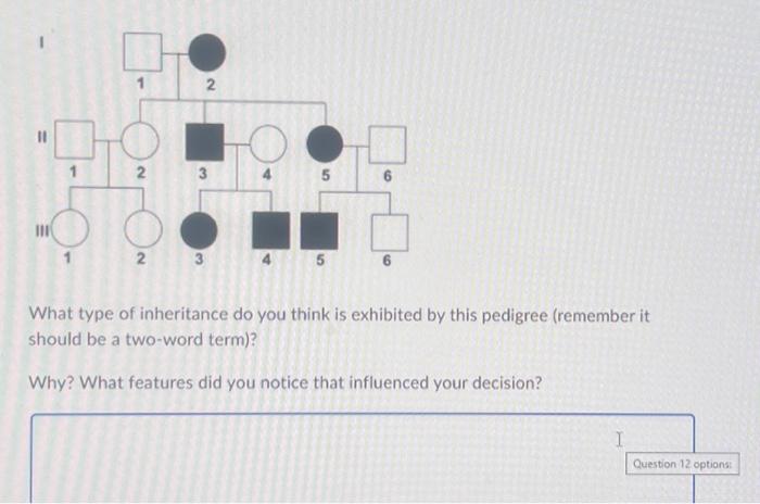 Solved What type of inheritance do you think is exhibited by | Chegg.com