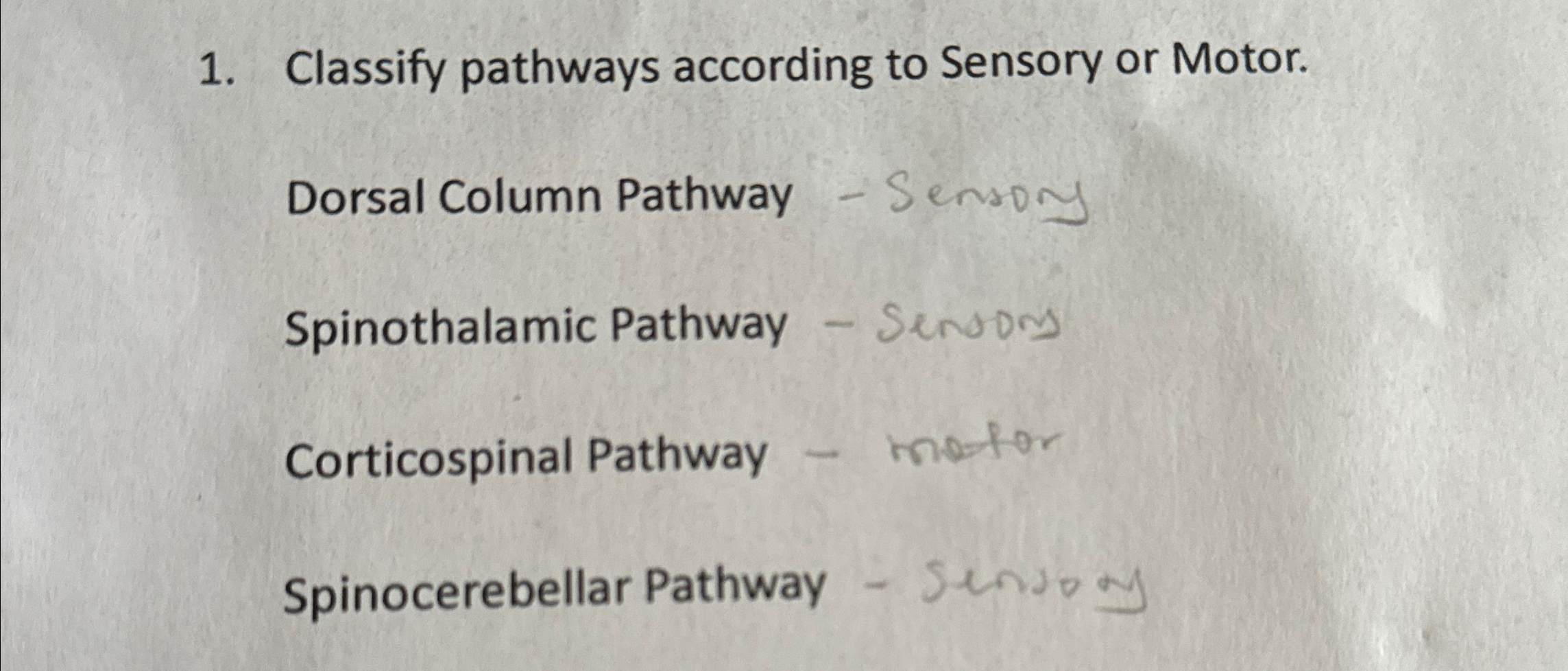 Solved Classify pathways according to Sensory or | Chegg.com