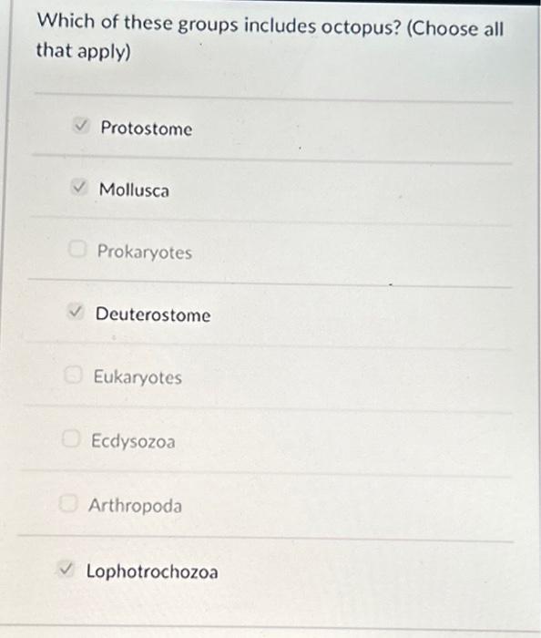 Solved Which of these groups includes octopus? (Choose all | Chegg.com