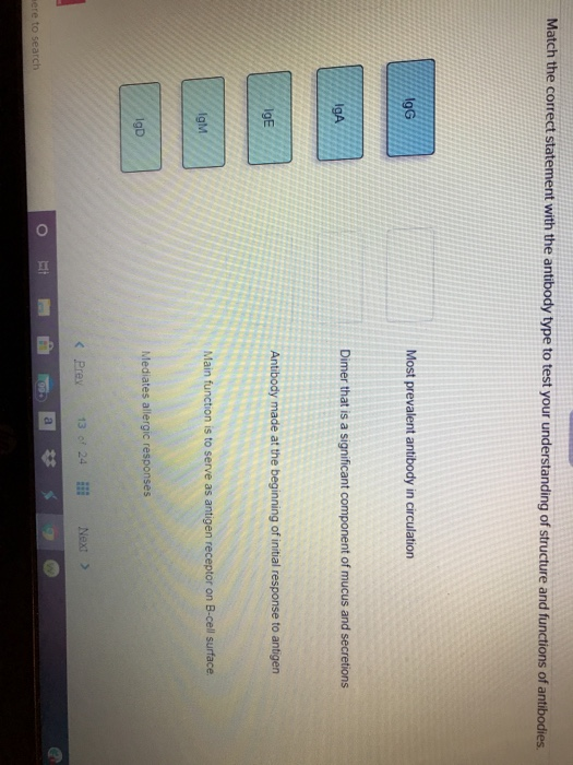 Solved Match the correct statement with the antibody type to | Chegg.com