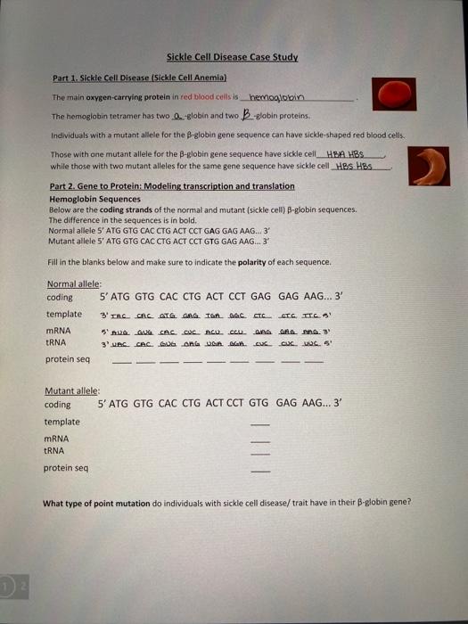 Solved Sickle Cell Disease Case Study Part 1 Sickle Cell | Chegg.com