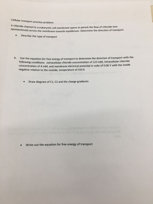 Solved Cellular transport practice problem: A chloride | Chegg.com