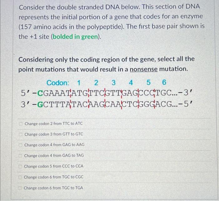 Solved Consider the double stranded DNA below. This section | Chegg.com