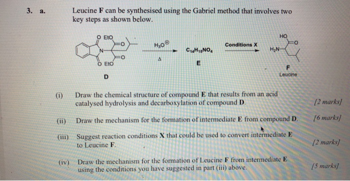 Solved 3. a. Leucine F can be synthesised using the Gabriel | Chegg.com